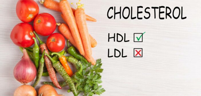 HDL-Cholesterin: Wissenswertes zum „guten“ Cholesterinwert